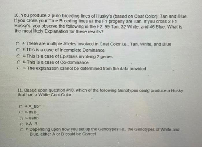 Solved 10. You produce 2 pure breeding lines of Husky's | Chegg.com