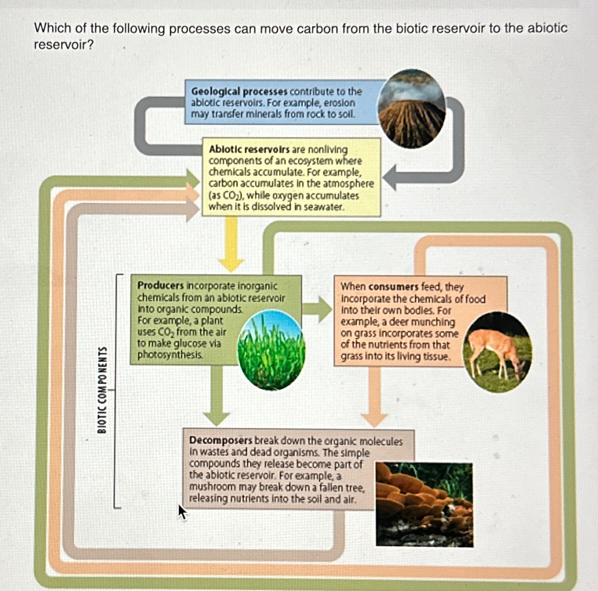 Solved Which of the following processes can move carbon from | Chegg.com