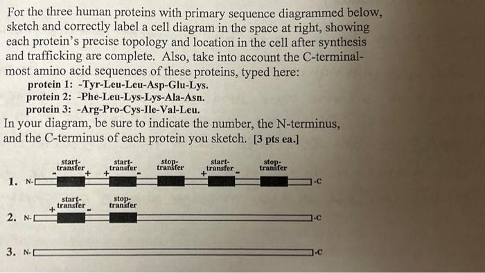 Solved For the three human proteins with primary sequence | Chegg.com