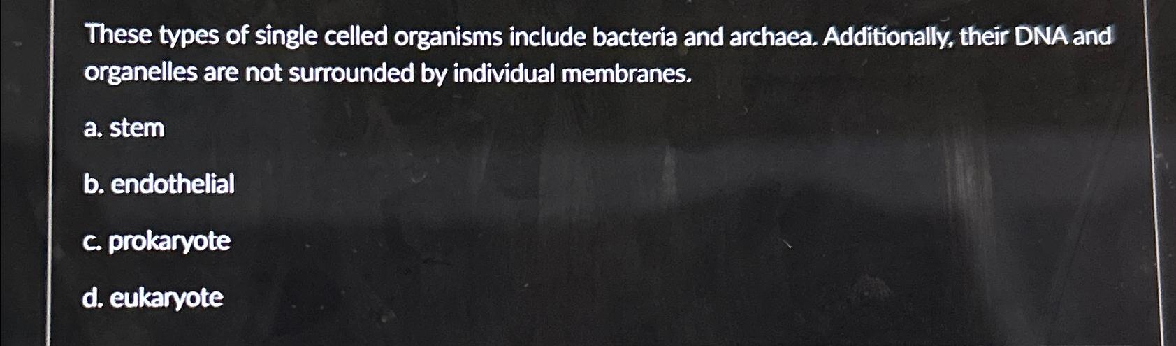 Solved These types of single celled organisms include | Chegg.com