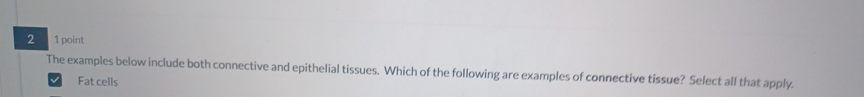 Solved 21 ﻿pointThe examples below include both connective | Chegg.com