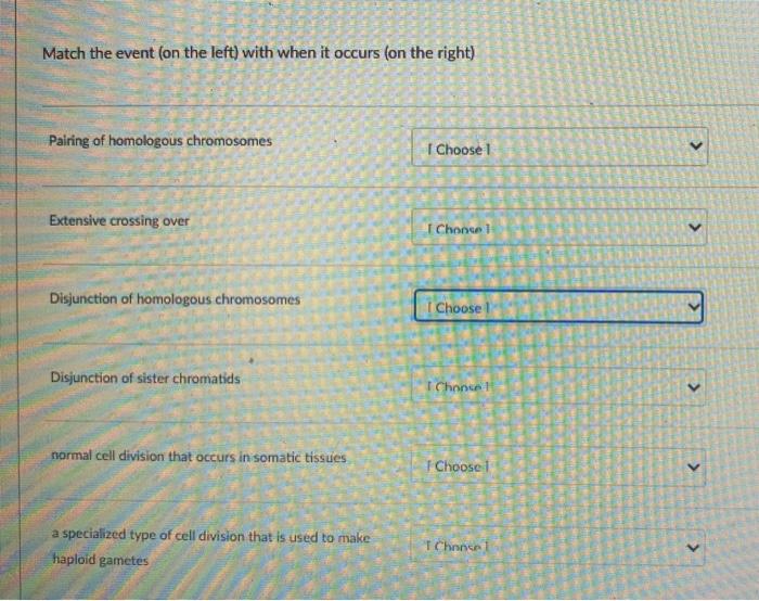 Solved Match the event (on the left) with when it occurs (on | Chegg.com