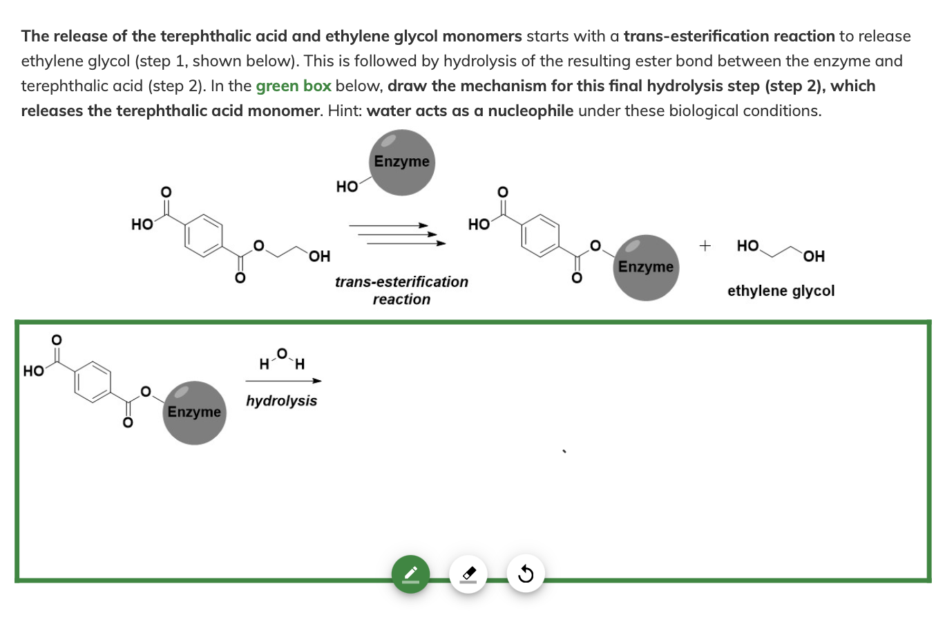 The release of the terephthalic acid and ethylene | Chegg.com