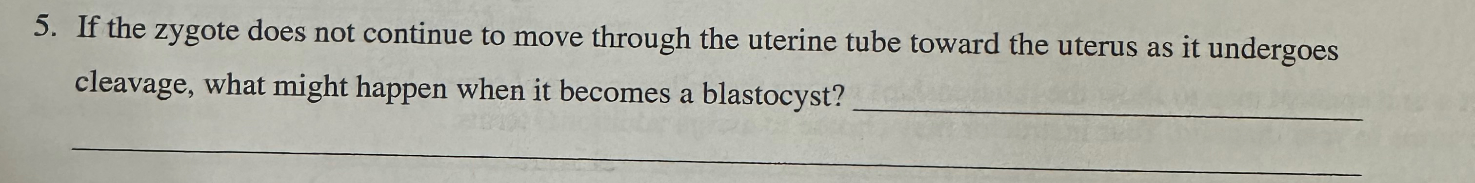 Solved If the zygote does not continue to move through the | Chegg.com