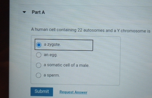 Solved Part AA human cell containing 22 ﻿autosomes and a Y | Chegg.com