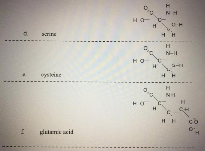 Solved 1 Fundamental Structure An Amino Acid Is Made Of An 1352