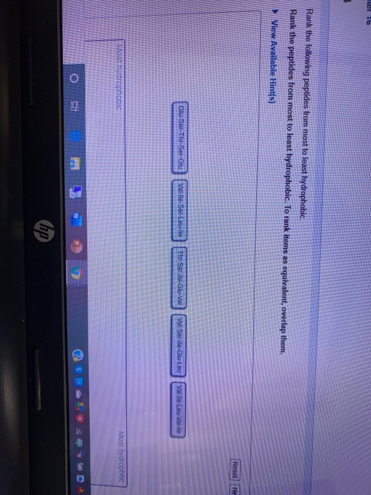 Solved Rank the following peptides from most to least | Chegg.com