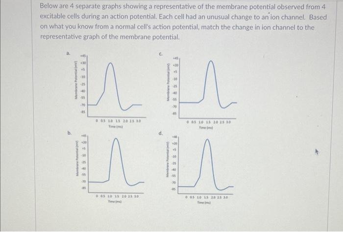 Solved Below are 4 separate graphs showing a representative | Chegg.com