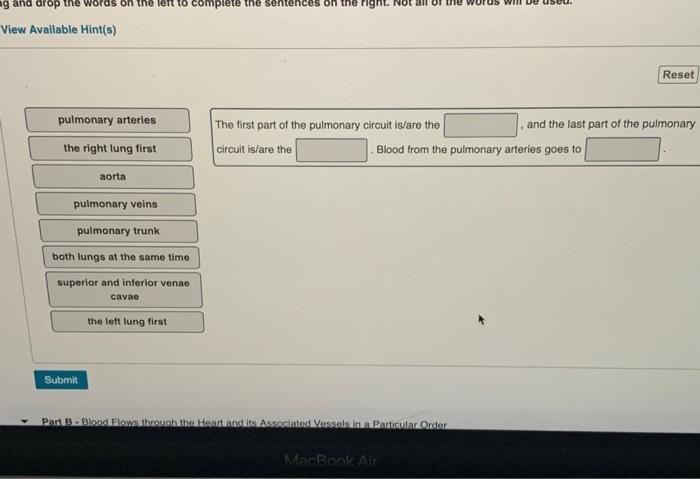 Drag And Drop The Words On The Left To Complete The