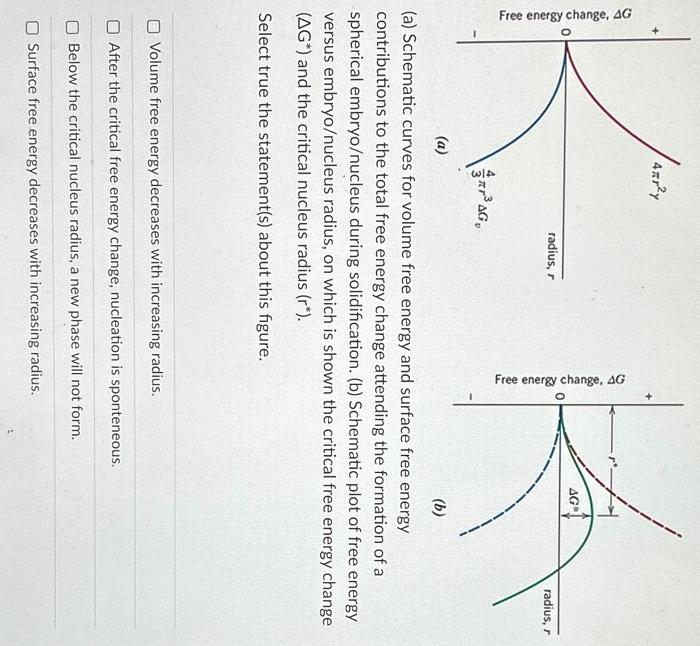Solved (a) Schematic curves for volume free energy and | Chegg.com