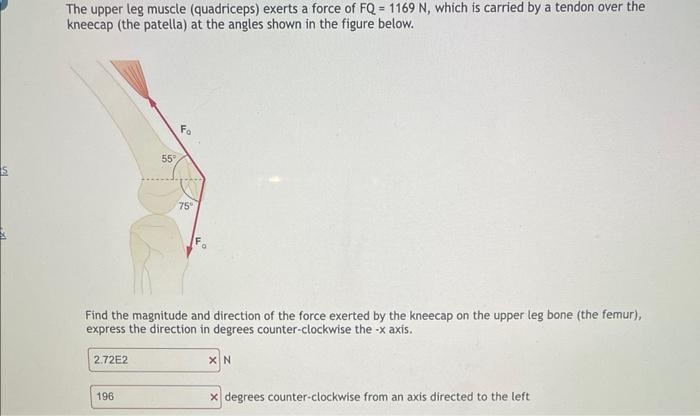 Solved The upper leg muscle (quadriceps) exerts a force of | Chegg.com