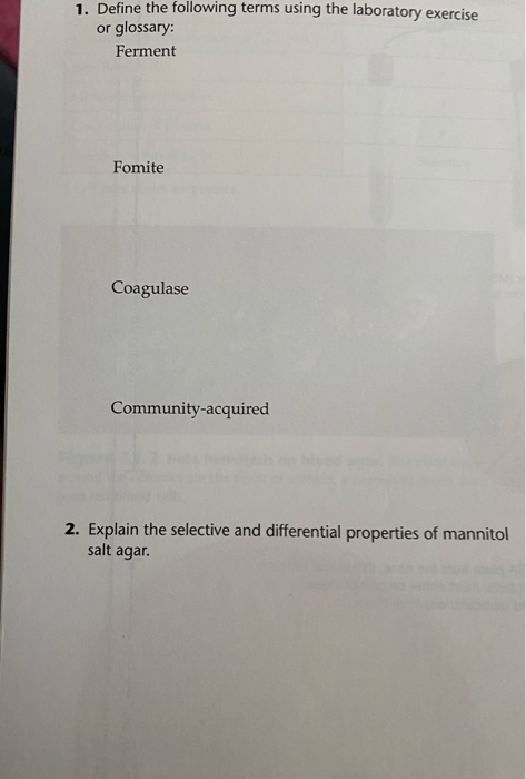 Solved 1. Define the following terms using the laboratory | Chegg.com