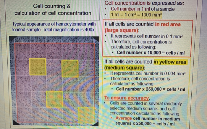 Calculating cell concentration (Cell number per 1 ml) | Chegg.com