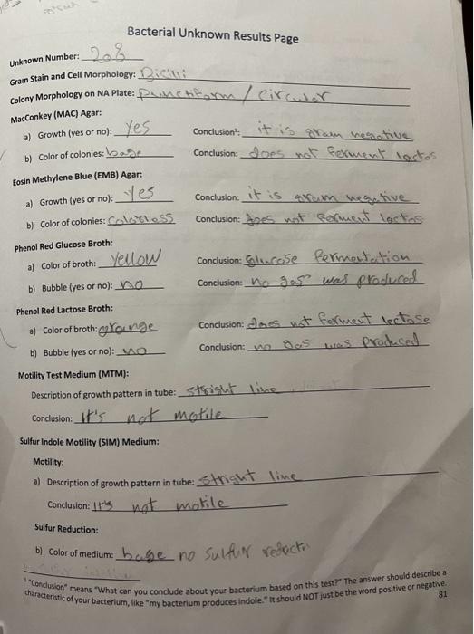 Solved Bacterial Unknown Results Page Unknown Number: Gram | Chegg.com