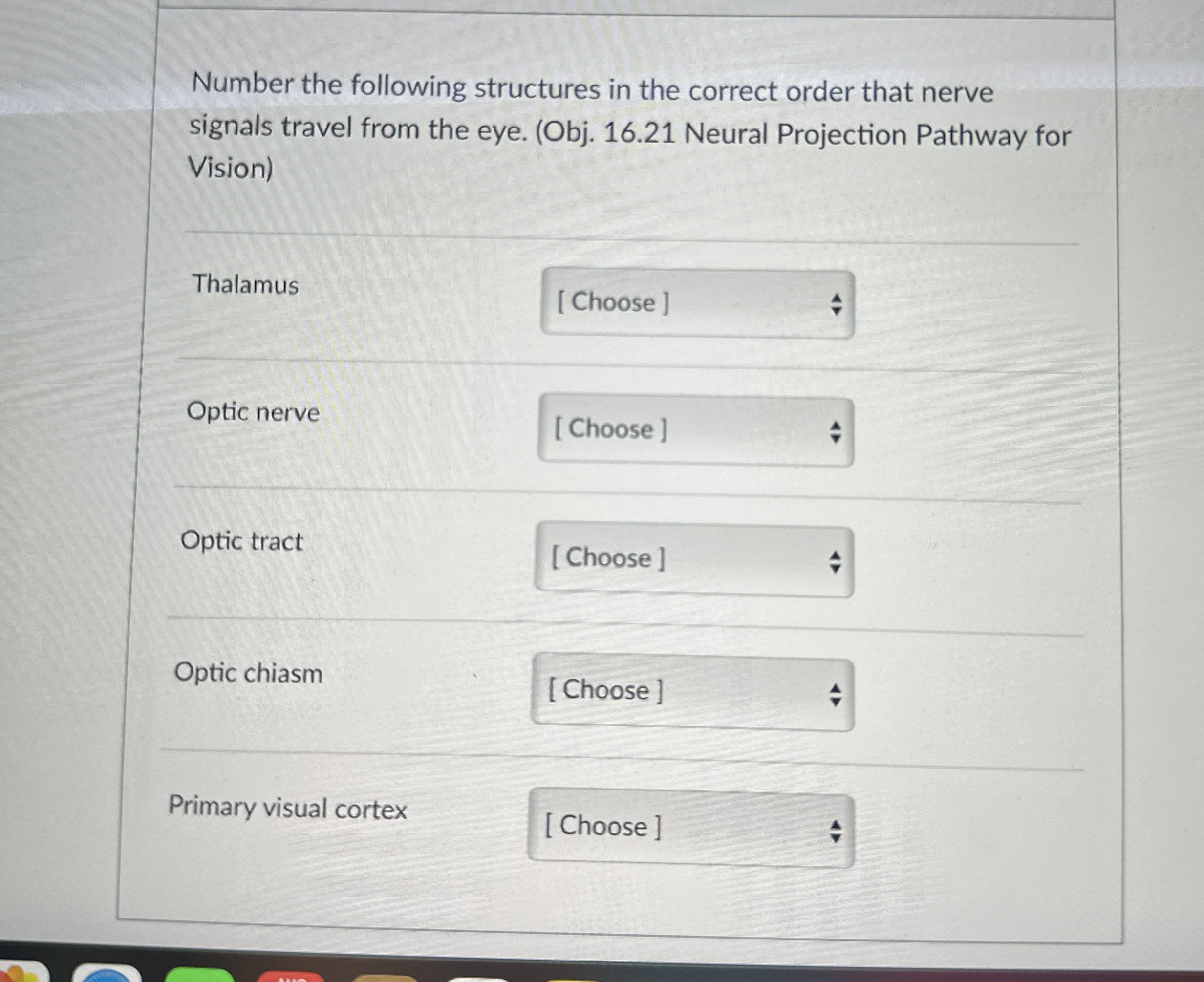 Solved Number the following structures in the correct order | Chegg.com