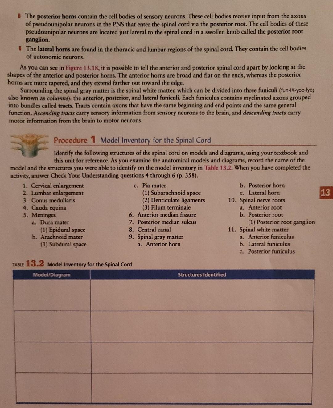 Procedure 1 Model Inventory for the Brain Identify | Chegg.com