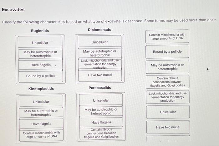 Excavates Classify the following characteristics | Chegg.com