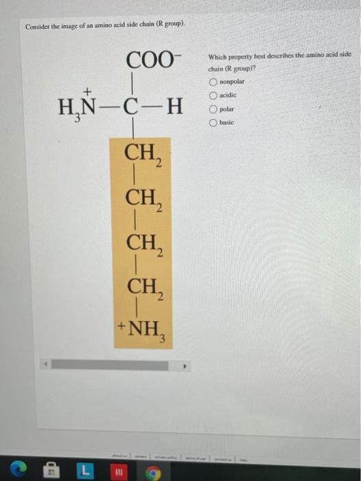 Solved Consider the image of an amino acid side chain (R | Chegg.com