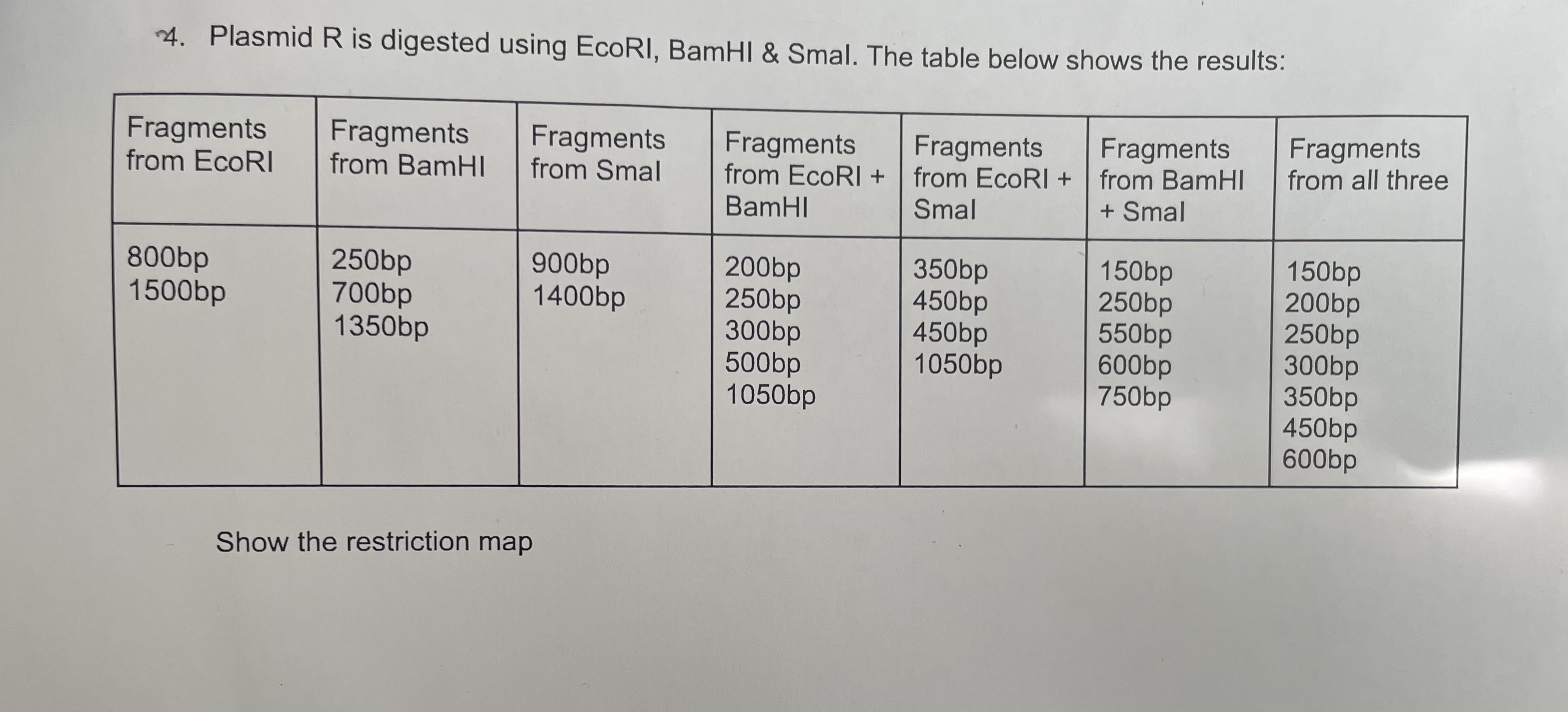 Solved Plasmid R is digested using EcoRI, BamHI & Smal. The | Chegg.com