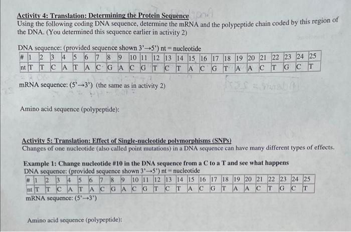 Solved Activity 4: Translation: Determining the Protein | Chegg.com