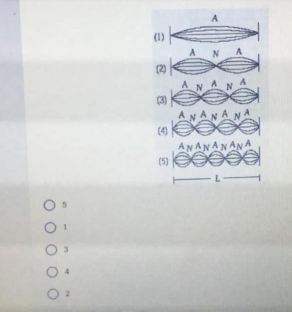 Solved A (1 ) Α Ν NA (2) ANANANA ANANANANA (5) L- 5 1 2 | Chegg.com