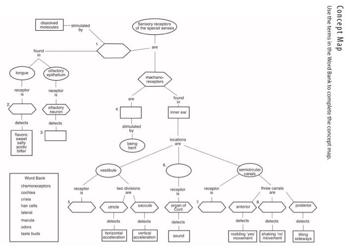 Solved Plesse complete the full concept map. | Chegg.com