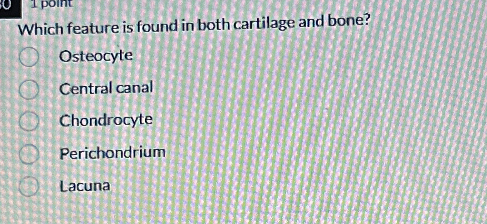 Solved Which feature is found in both cartilage and | Chegg.com