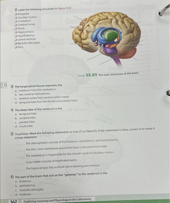 Solved 2 Label the following structures in figure if | Chegg.com