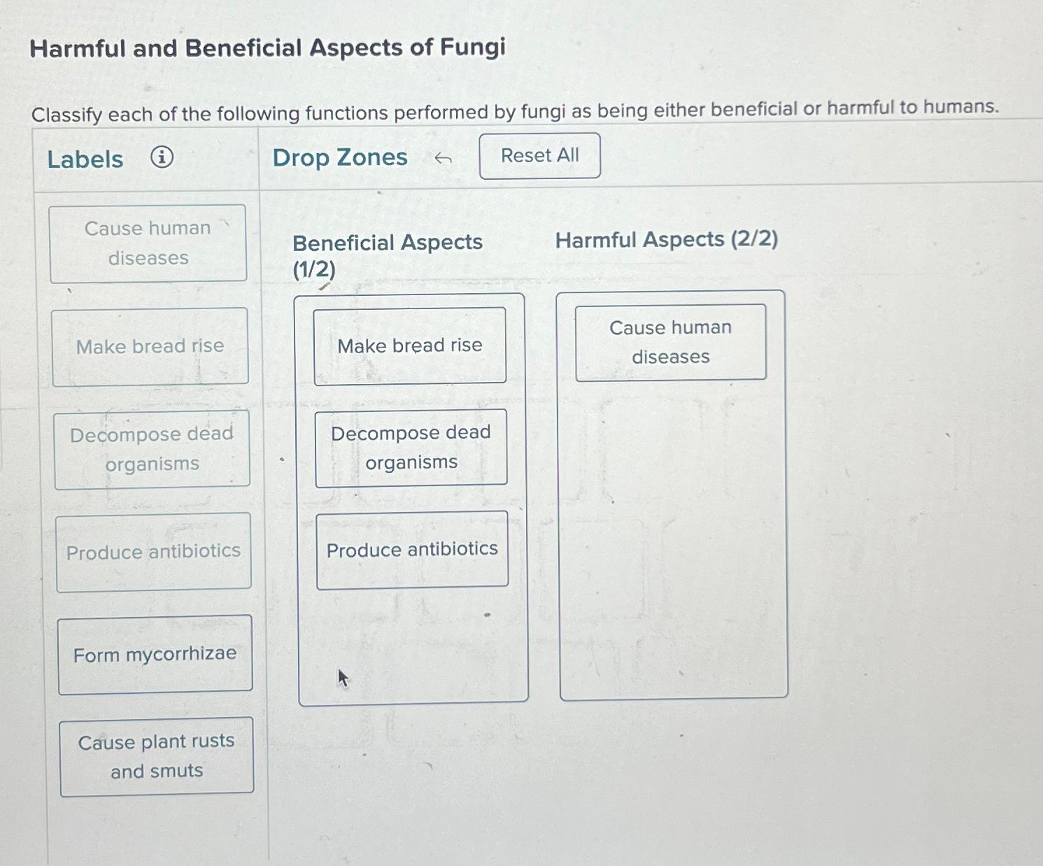 Solved Harmful and Beneficial Aspects of FungiClassify each | Chegg.com