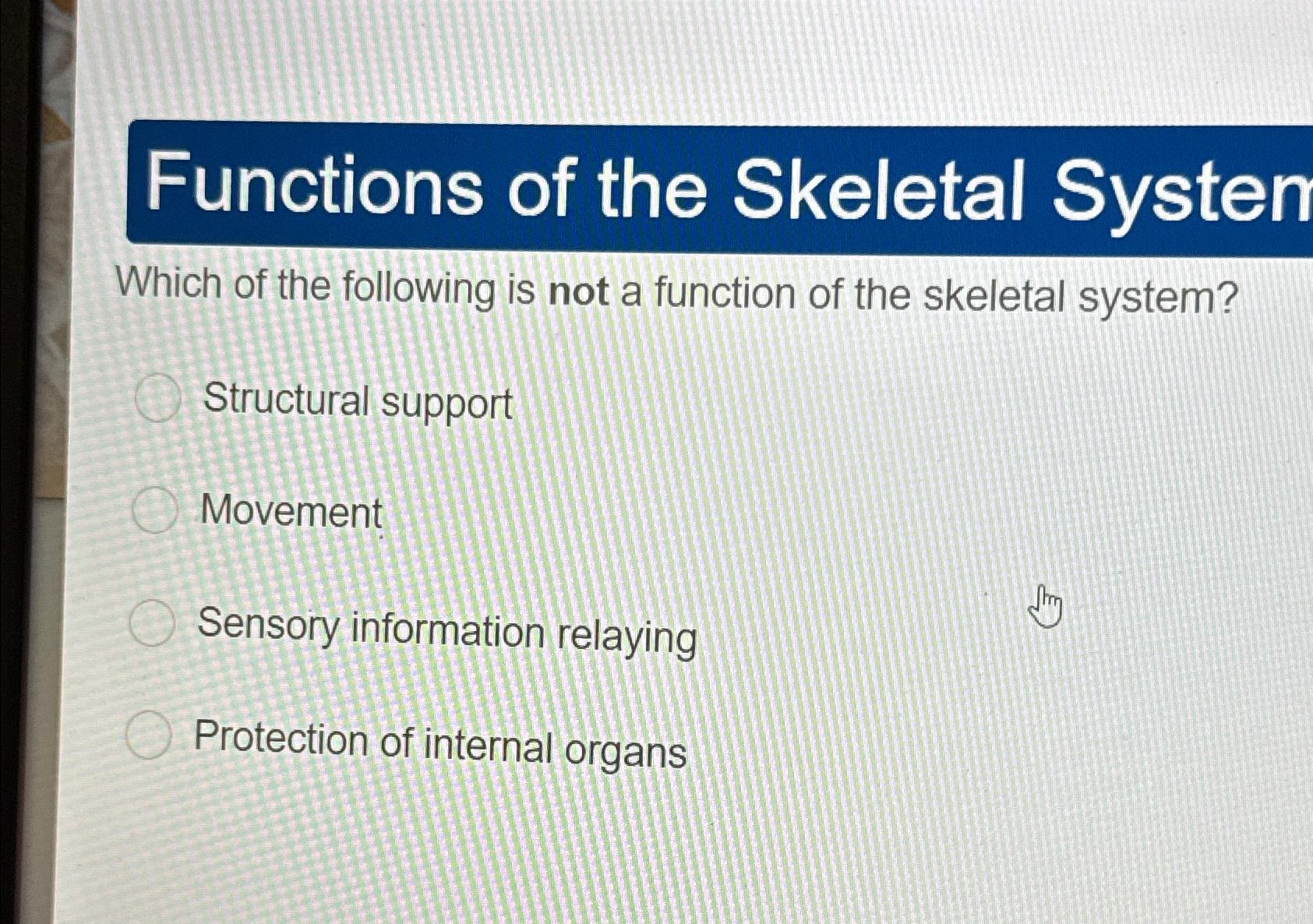Solved Functions of the Skeletal SystenWhich of the | Chegg.com