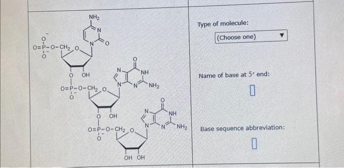 For each molecule in the table below: - Classify the | Chegg.com