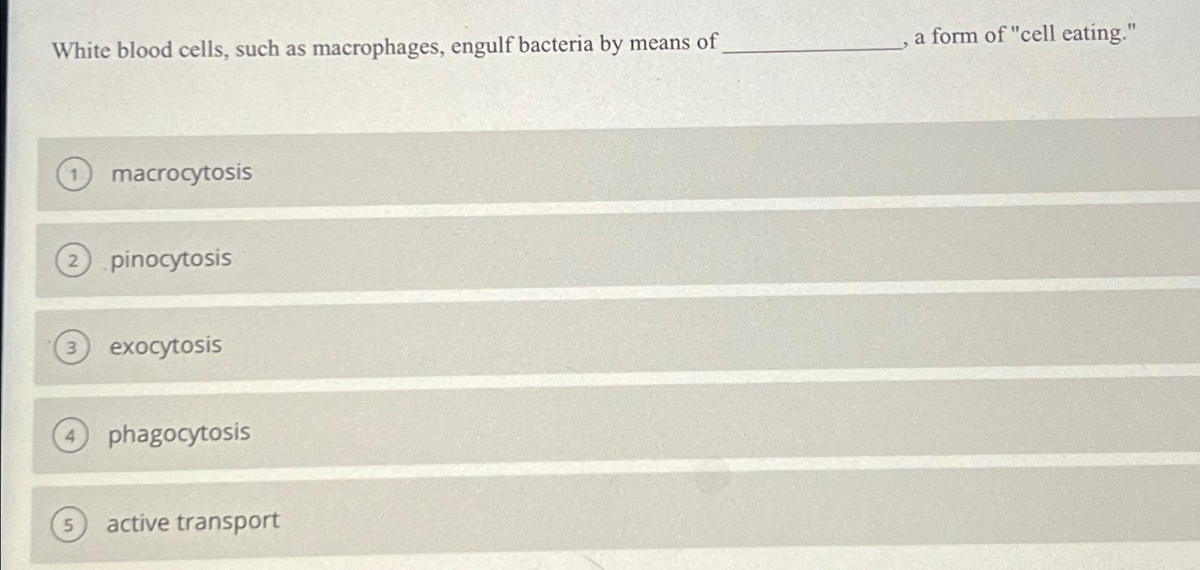 Solved White blood cells, such as macrophages, engulf | Chegg.com