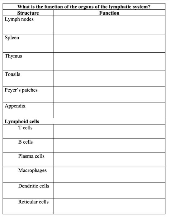 Solved \\begin{tabular}{|l|l|} \\hline | Chegg.com