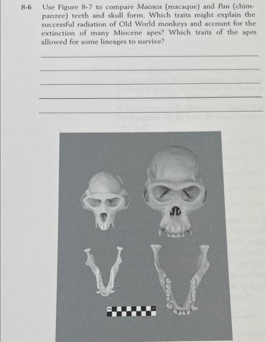 Solved 8-6 Use Figure 8-7 to compare Macaca (macaque) and | Chegg.com