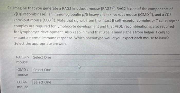 Solved 4) Imagine that you generate a RAG2 knockout mouse | Chegg.com