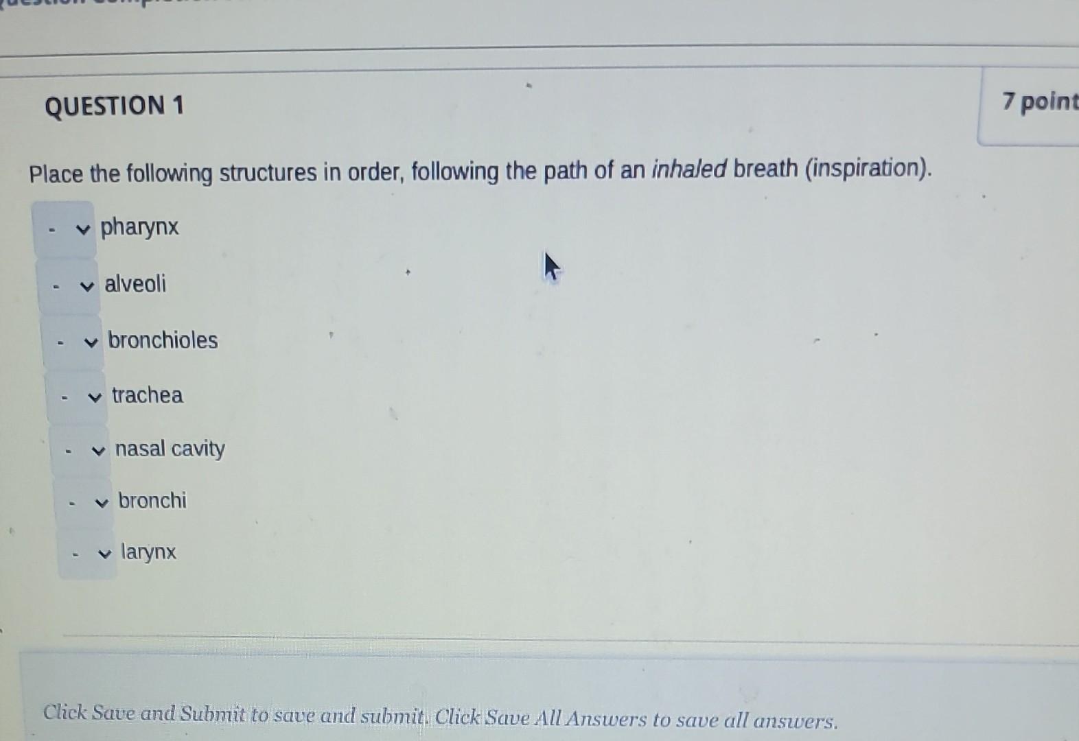Solved Place the following structures in order, following | Chegg.com