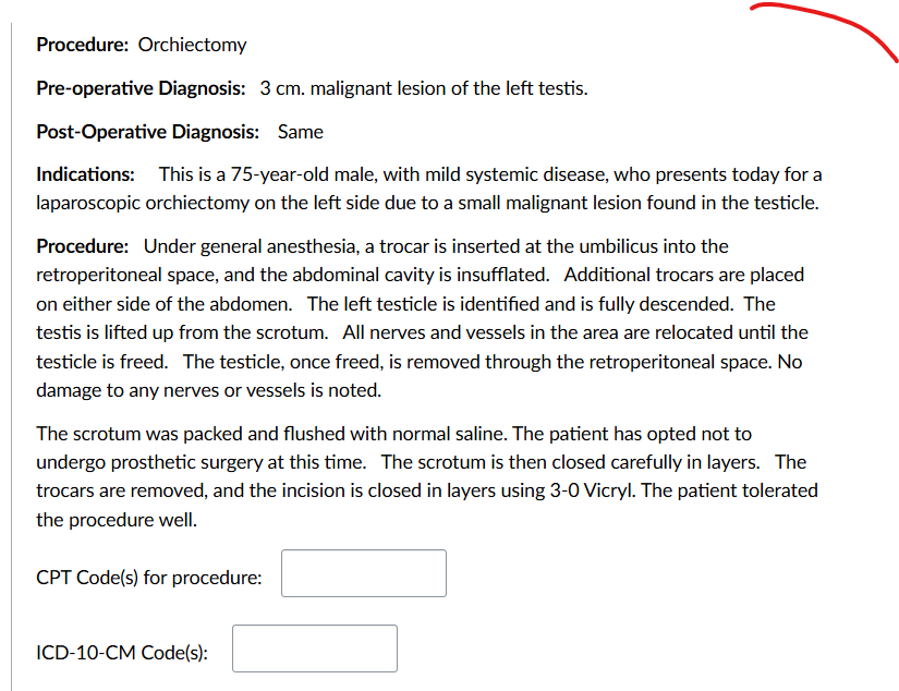 Solved Procedure: OrchiectomyPre-operative Diagnosis: 3 ﻿cm | Chegg.com