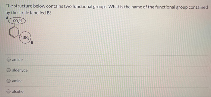 Solved The structure below contains two functional groups. | Chegg.com