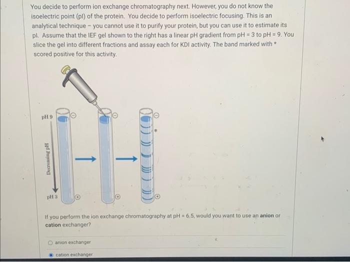 Solved You decide to perform ion exchange chromatography | Chegg.com