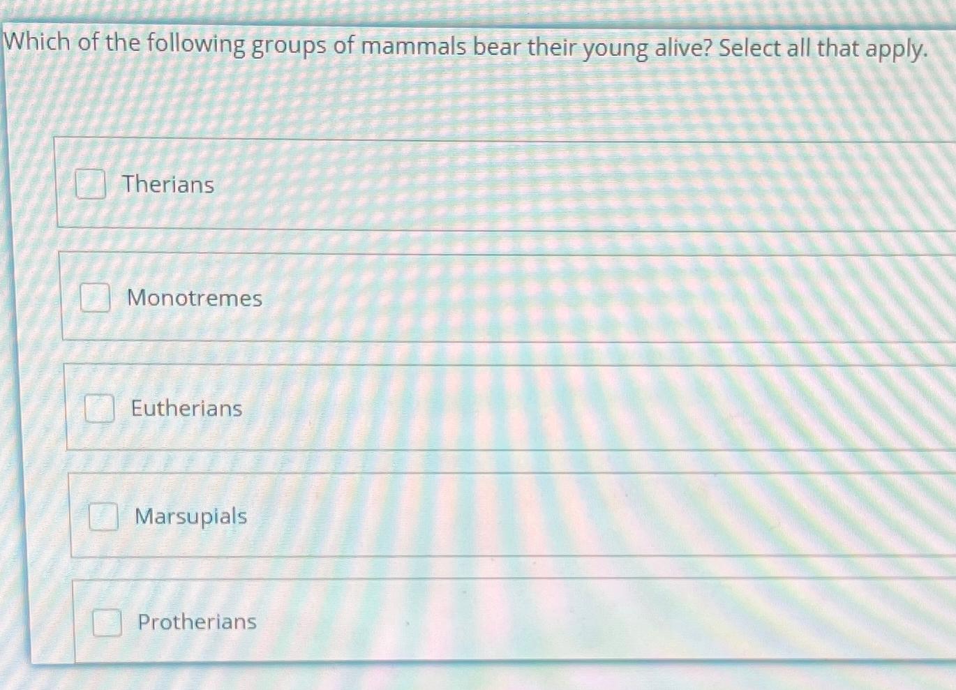 Solved Which of the following groups of mammals bear their | Chegg.com
