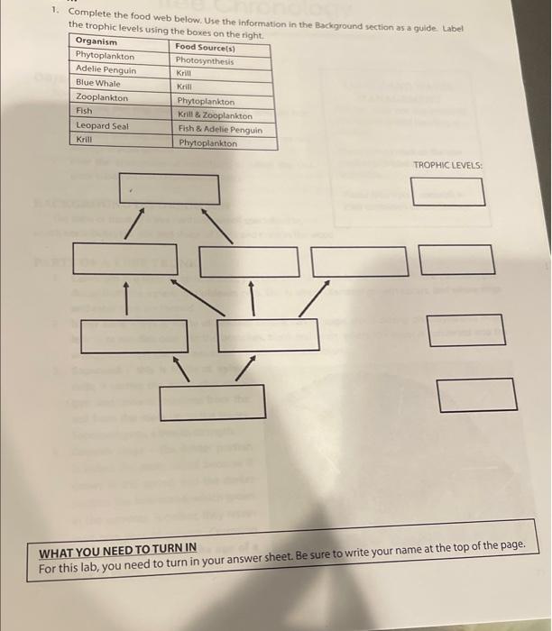 Solved 1. Complete the food web below. Use the ins. | Chegg.com