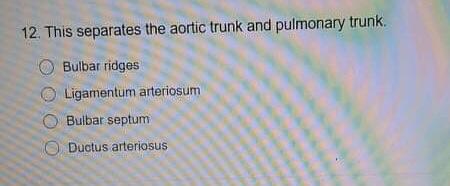 Solved 12. This separates the aortic trunk and pulmonary | Chegg.com
