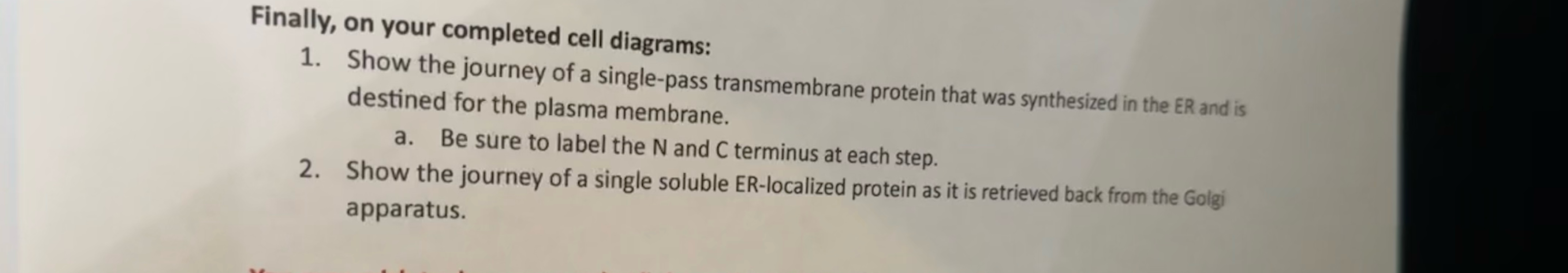 Solved Finally, on your completed cell diagrams:Show the | Chegg.com
