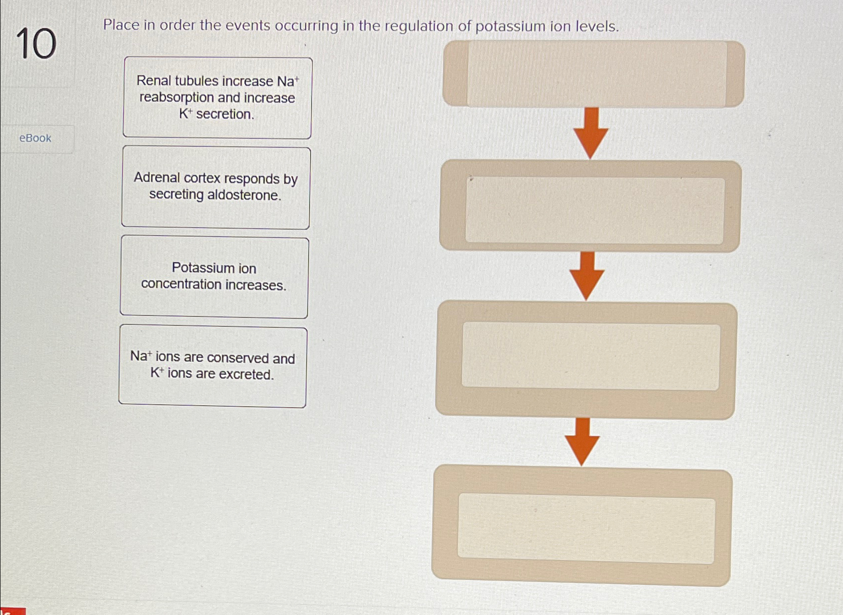 Solved 10Place in order the events occurring in the | Chegg.com
