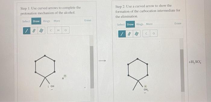 Solved Step 1: Use curved arrows to complete the protonation | Chegg.com