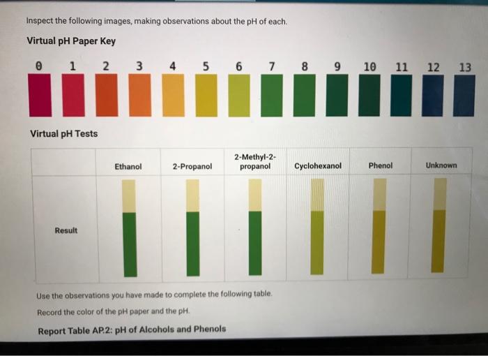 Solved Inspect the following images, making observations | Chegg.com