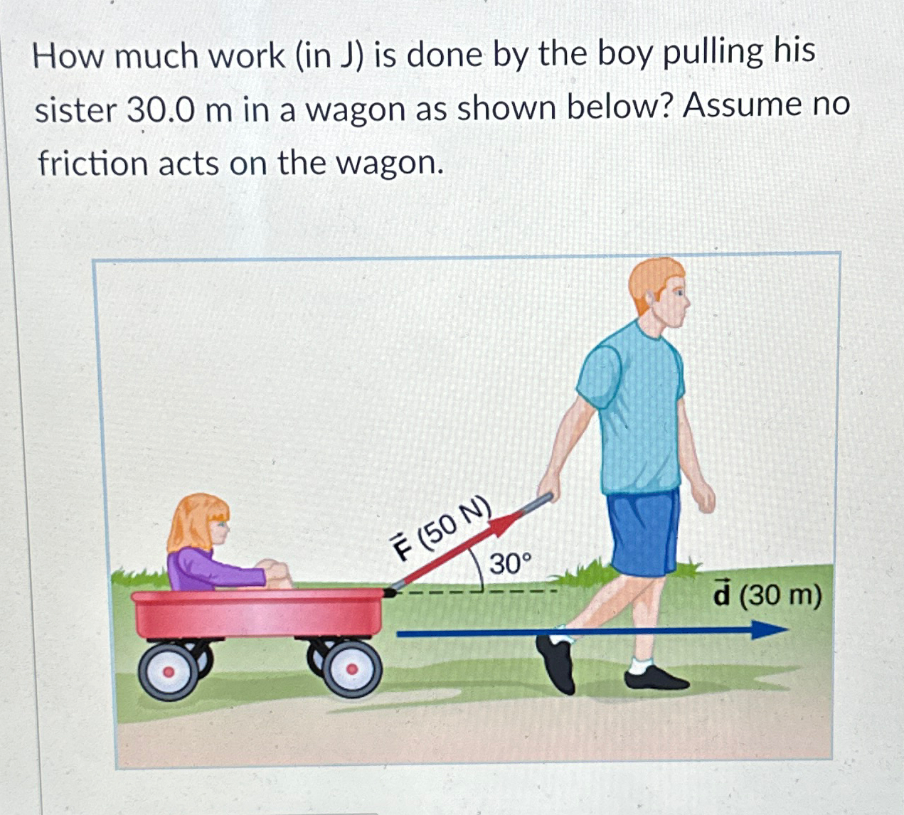 Solved How much work (in J) ﻿is done by the boy pulling his | Chegg.com