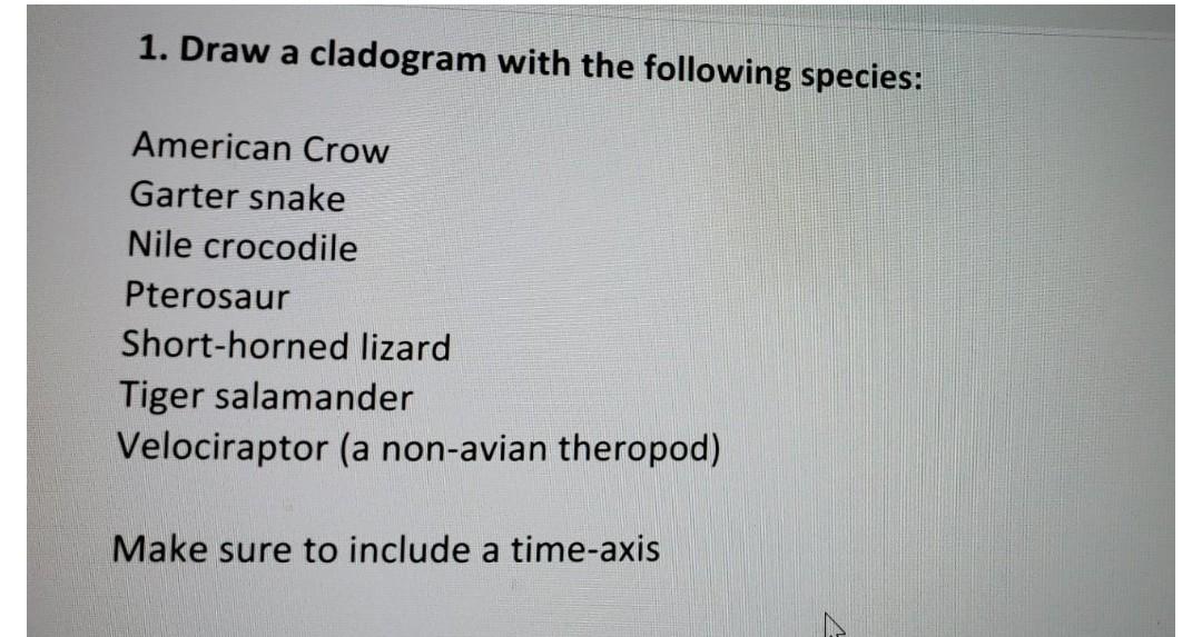Solved 2. Label your cladogram to show the following clades: | Chegg.com
