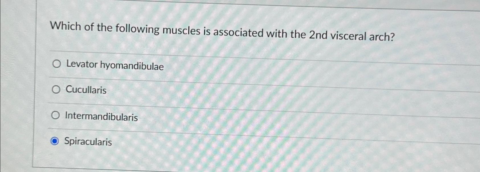 Solved Which of the following muscles is associated with the | Chegg.com