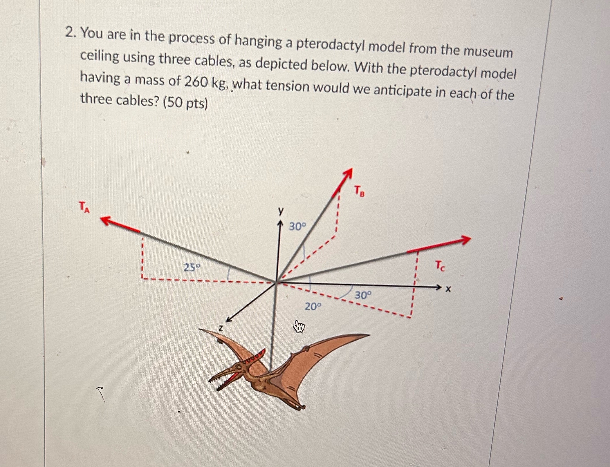 Solved You are in the process of hanging a pterodactyl model | Chegg.com